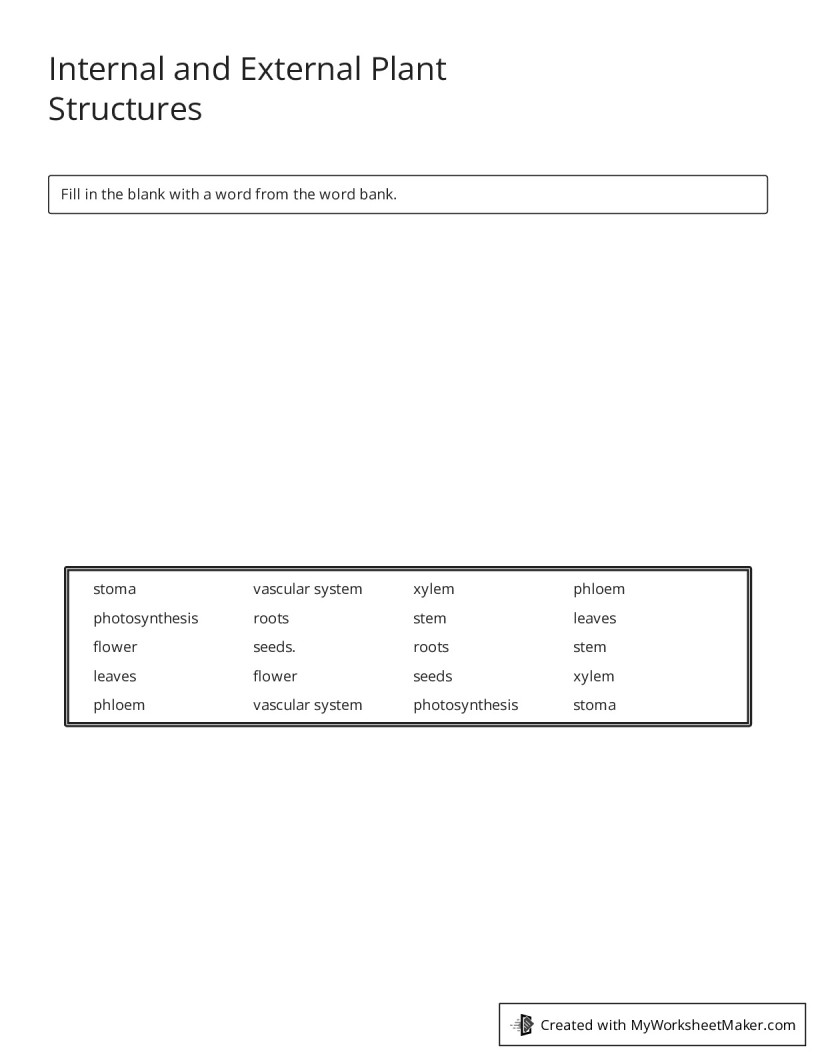 Internal and External Plant Structures - My Worksheet Maker: Create ...
