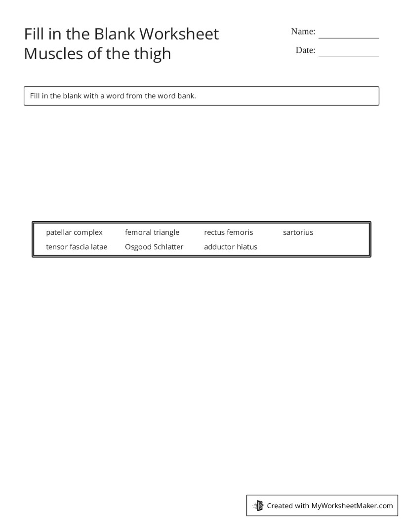 Fill in the Blank Worksheet Muscles of the thigh - My Worksheet Maker ...