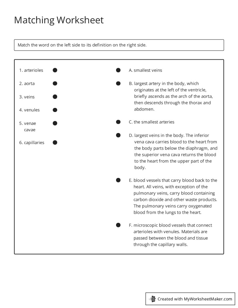 Matching Worksheet - My Worksheet Maker: Create Your Own Worksheets