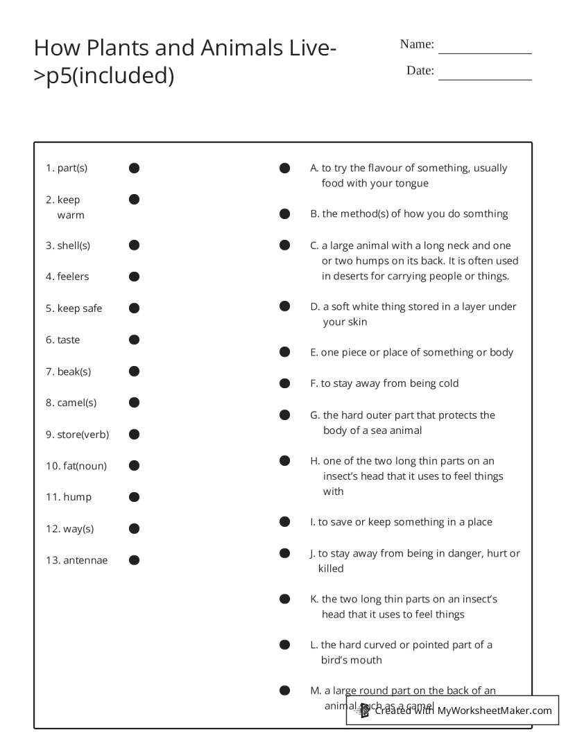 How Plants and Animals Live->p5(included) - My Worksheet Maker: Create ...