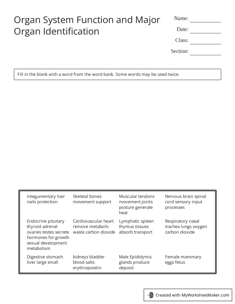 Organ System Function and Major Organ Identification - My Worksheet ...