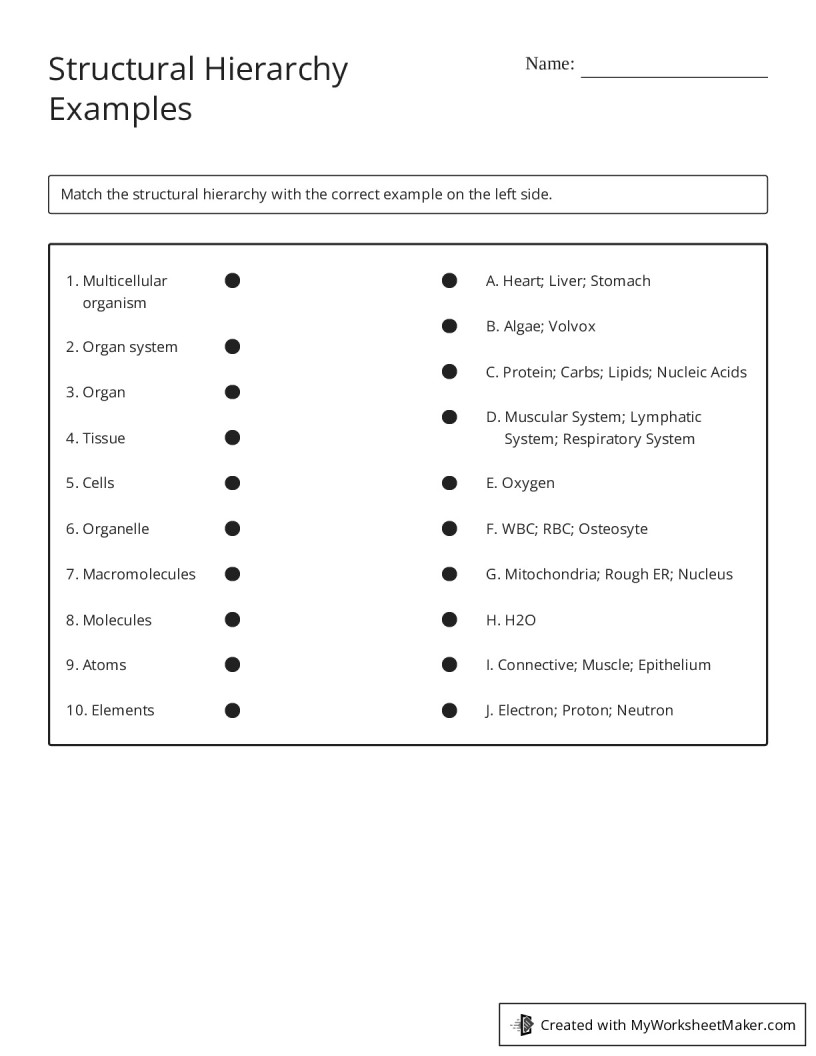Structural Hierarchy Examples My Worksheet Maker Create Your Own Worksheets