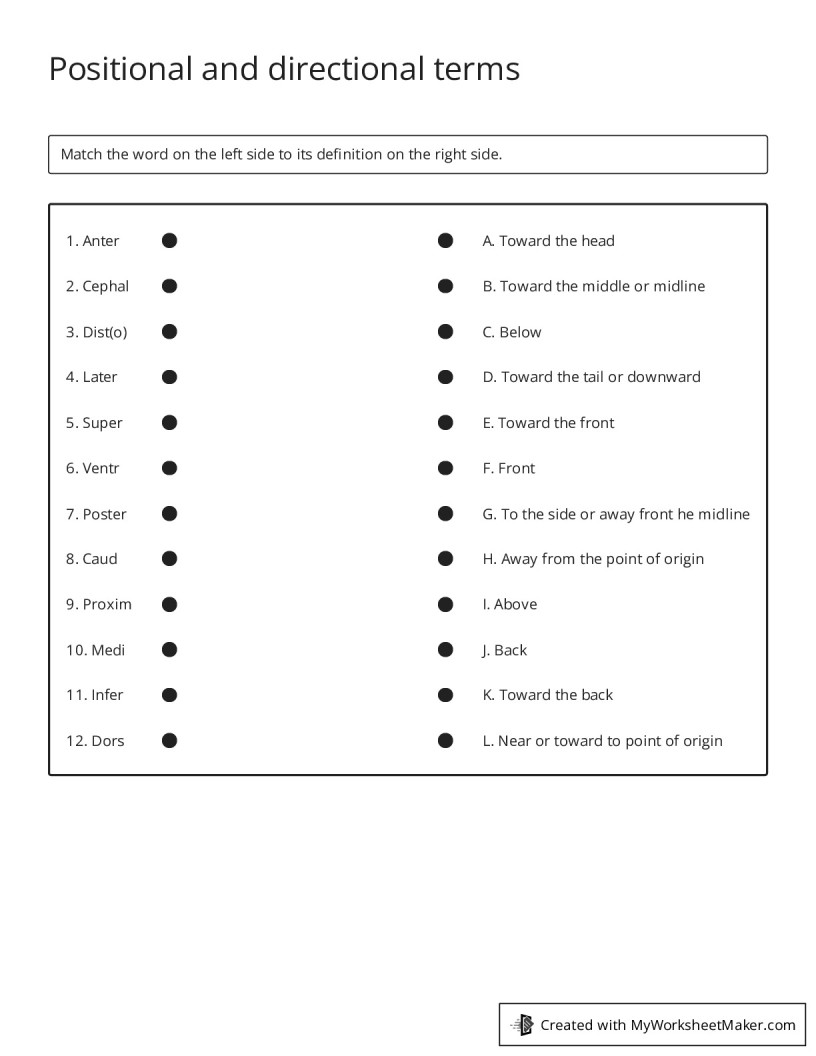 Identifying Directional Terms