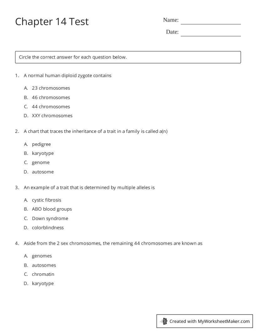 My Worksheet Maker: The Best Online Worksheet Creator
