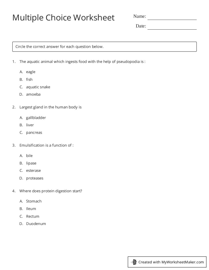 Multiple Choice Worksheet - My Worksheet Maker: Create Your Own Worksheets