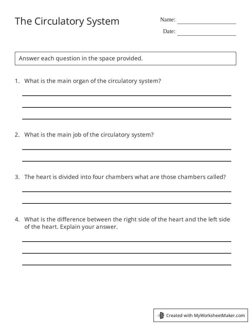The Circulatory System - My Worksheet Maker: Create Your Own Worksheets