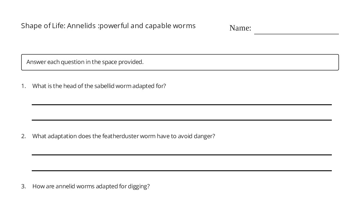 Shape of Life: Annelids :powerful and capable worms - My Worksheet ...