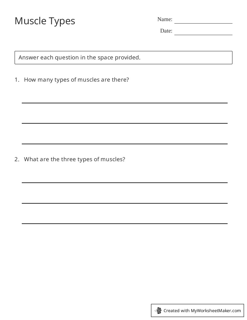 Muscle Types - My Worksheet Maker: Create Your Own Worksheets