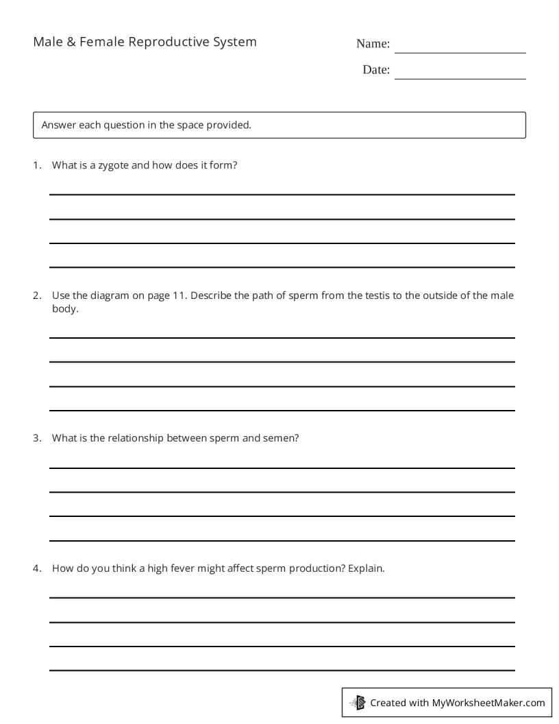 Male & Female Reproductive System - My Worksheet Maker: Create Your Own ...