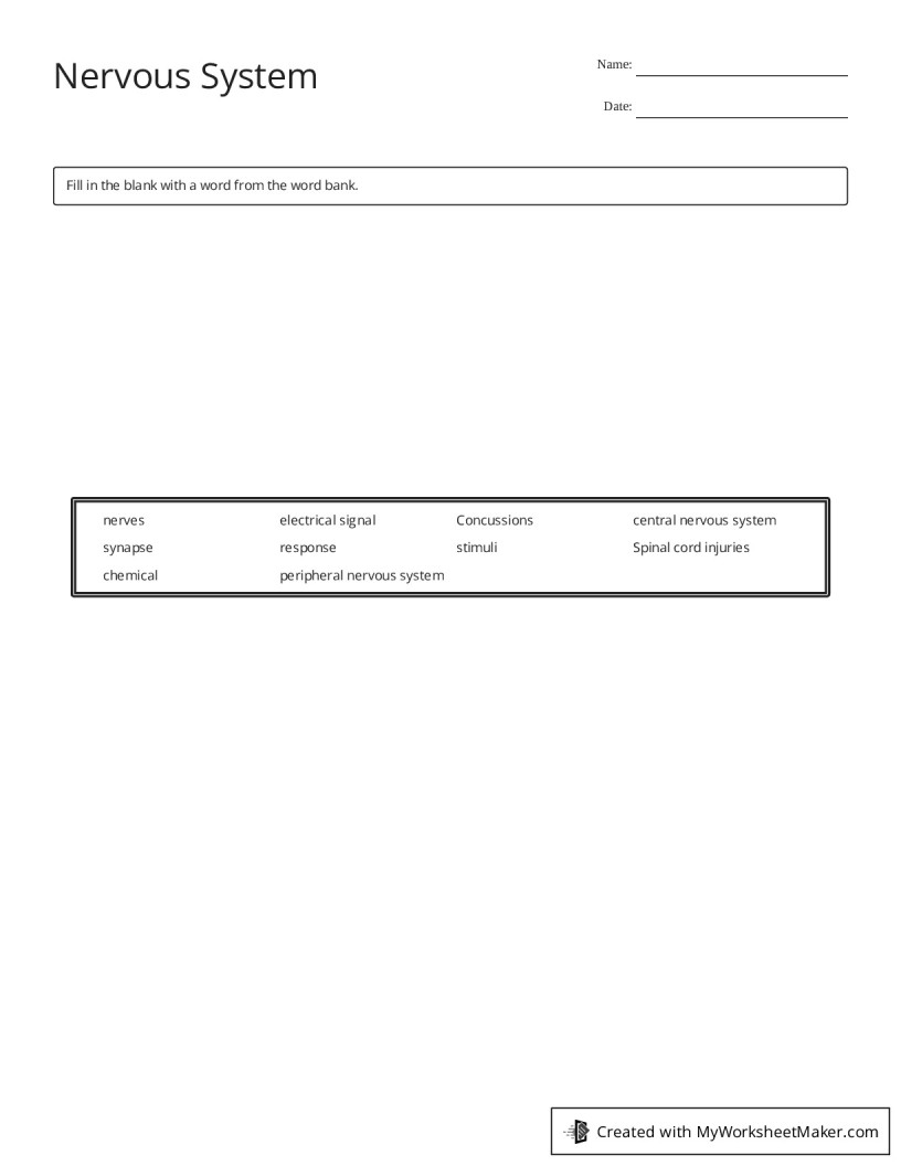 Nervous System - My Worksheet Maker: Create Your Own Worksheets