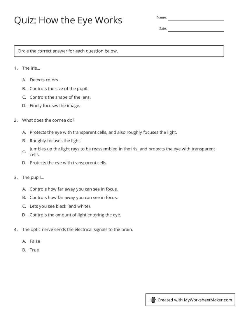 Quiz: How the Eye Works - My Worksheet Maker: Create Your Own Worksheets