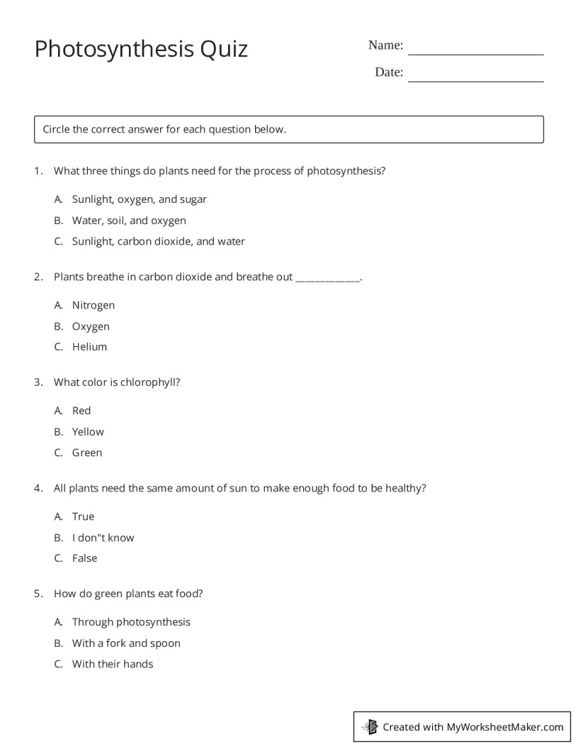 Photosynthesis Quiz - My Worksheet Maker: Create Your Own Worksheets