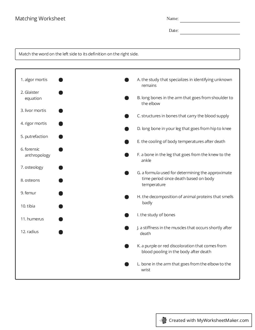 Matching Worksheet - My Worksheet Maker: Create Your Own Worksheets
