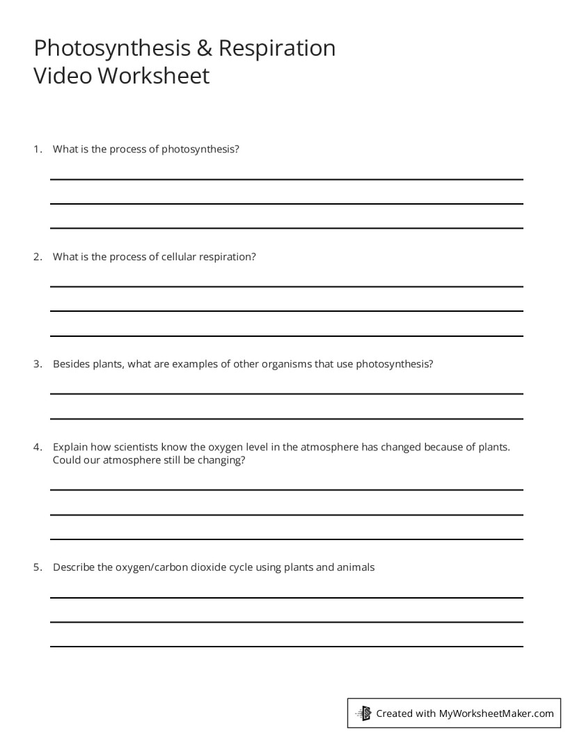 Photosynthesis & Respiration Video Worksheet - My Worksheet Maker ...