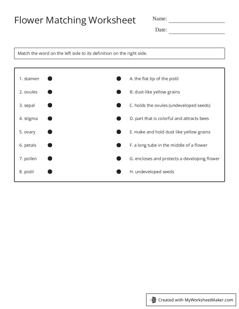 Flower Matching Worksheet - My Worksheet Maker: Create Your Own Worksheets