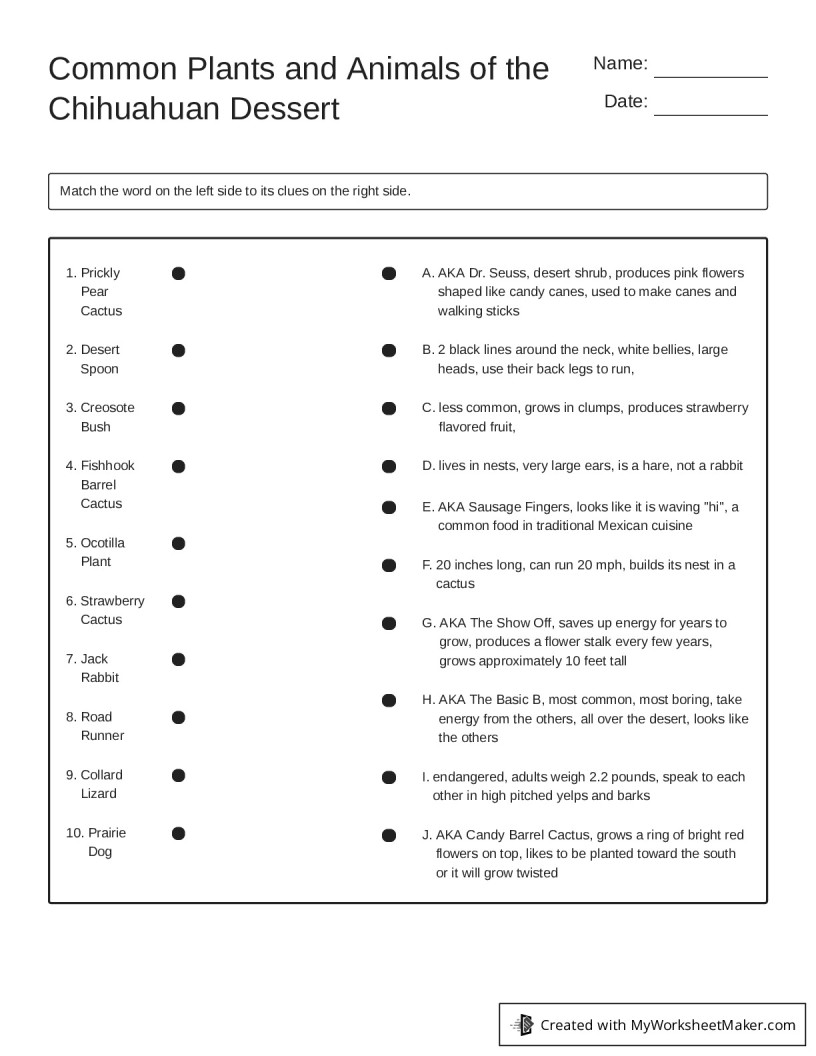 Common Plants and Animals of the Chihuahuan Dessert - My Worksheet ...