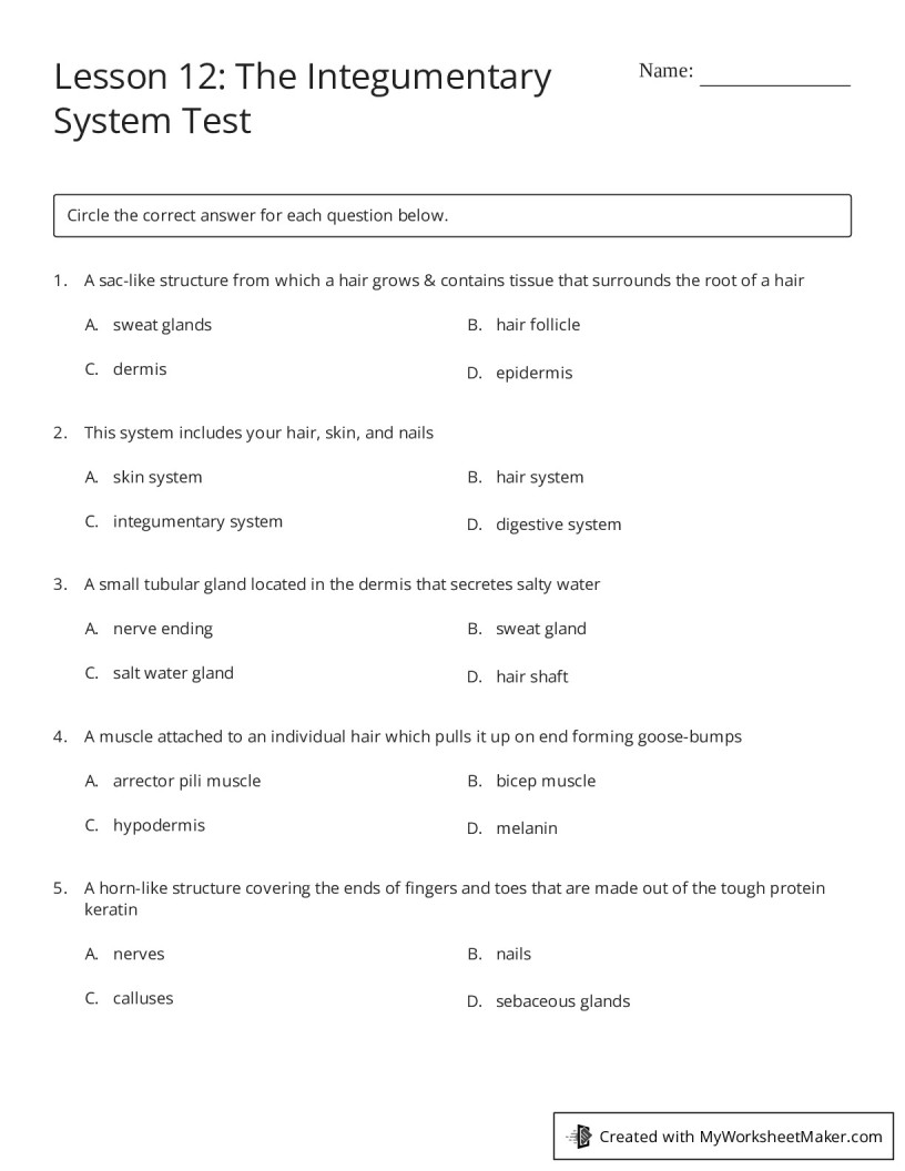 Lesson 12: The Integumentary System Test - My Worksheet Maker: Create ...