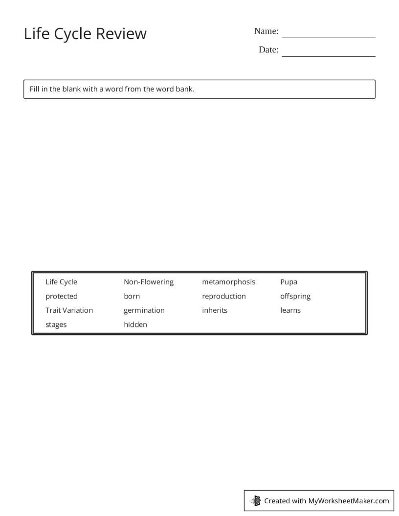 Life Cycle Review - My Worksheet Maker: Create Your Own Worksheets