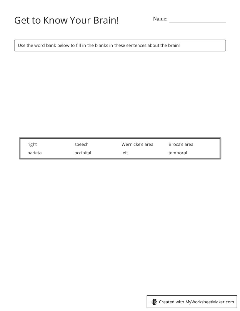 Get to Know Your Brain! - My Worksheet Maker: Create Your Own Worksheets Get to Know Your Brain! - My Worksheet Maker: Create Your Own Worksheets