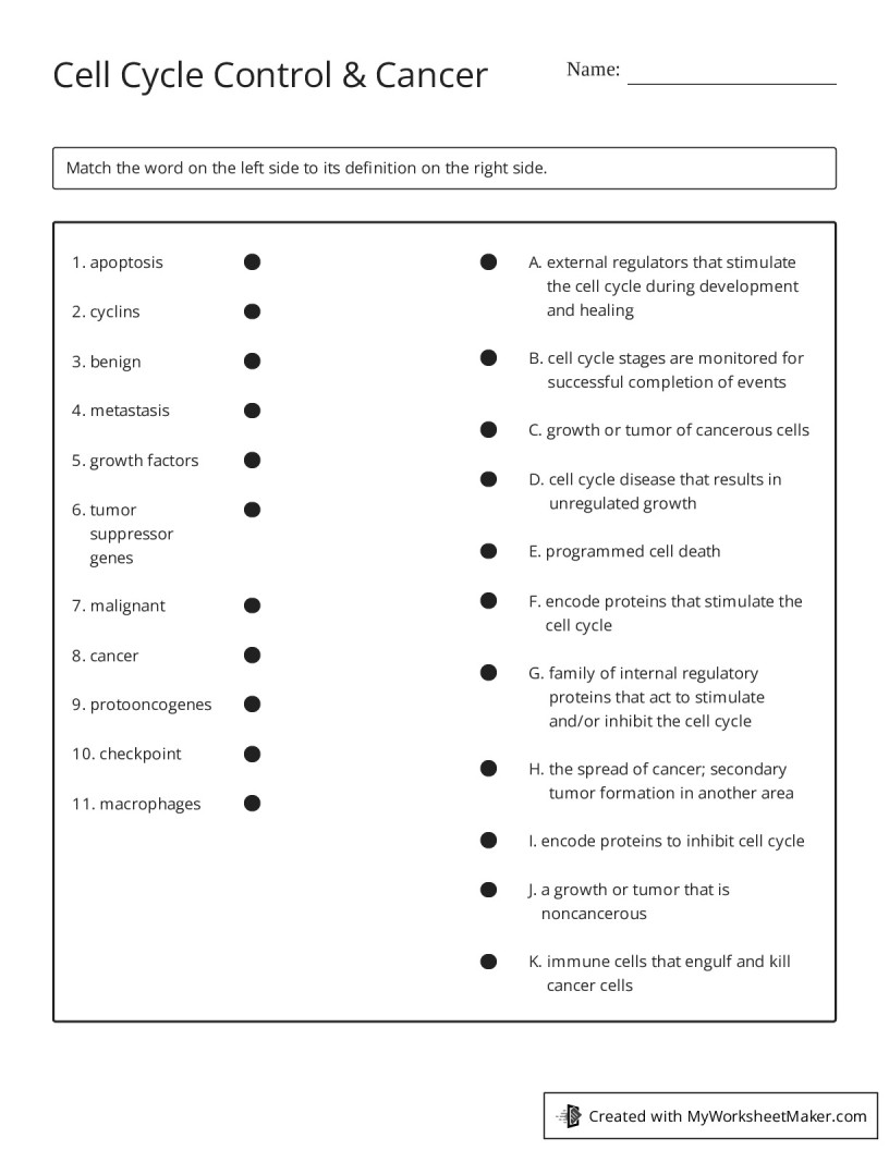 Cell Cycle Control & Cancer - My Worksheet Maker: Create Your Own ...