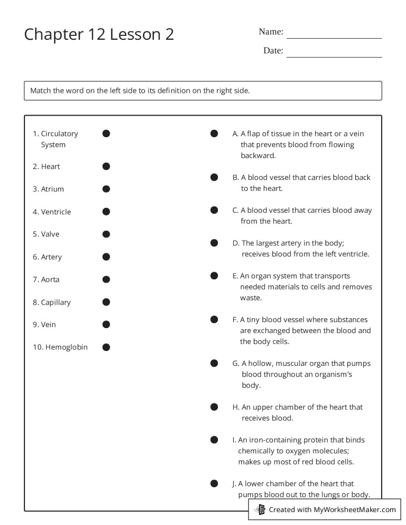 Chapter 12 Lesson 2 - My Worksheet Maker: Create Your Own Worksheets