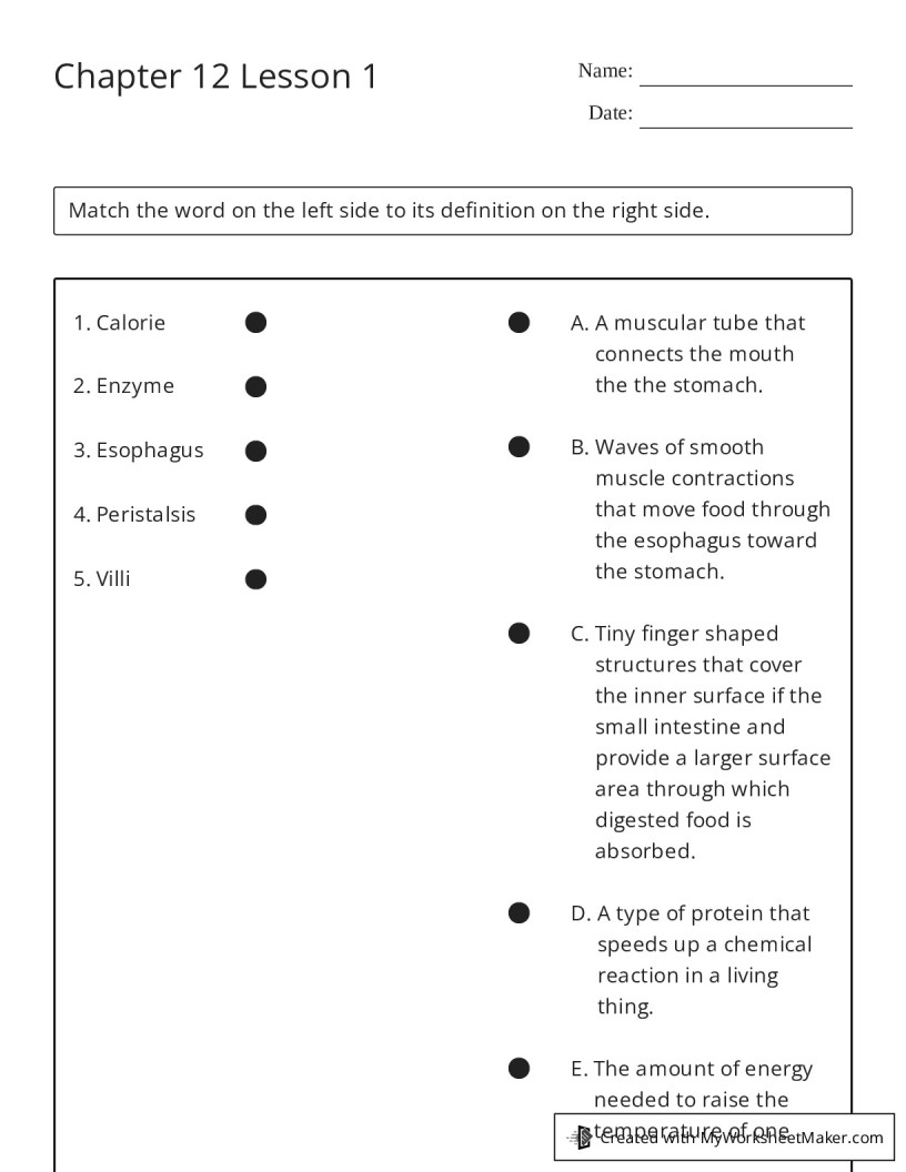 Chapter 12 Lesson 1 - My Worksheet Maker: Create Your Own Worksheets
