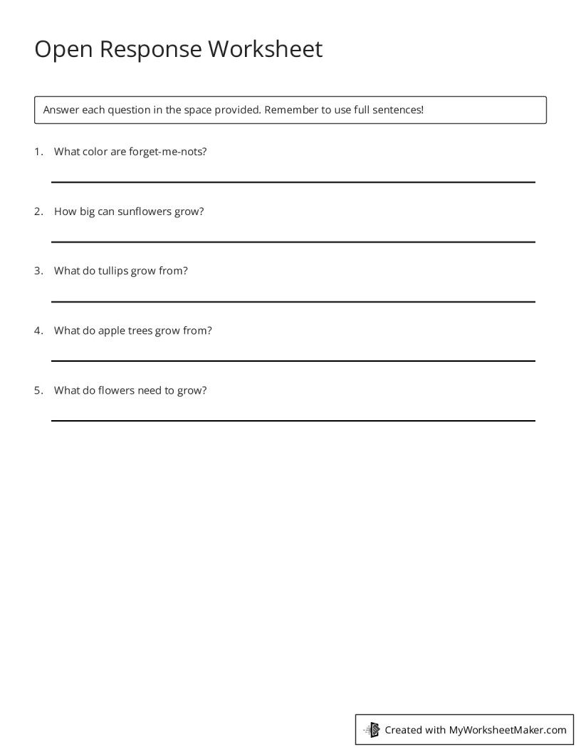 Open Response Worksheet - My Worksheet Maker: Create Your Own Worksheets