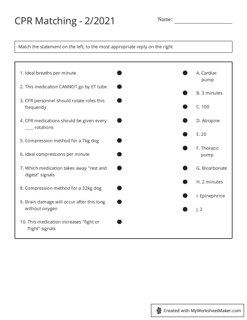 CPR Matching - 2/2021 - My Worksheet Maker: Create Your Own Worksheets