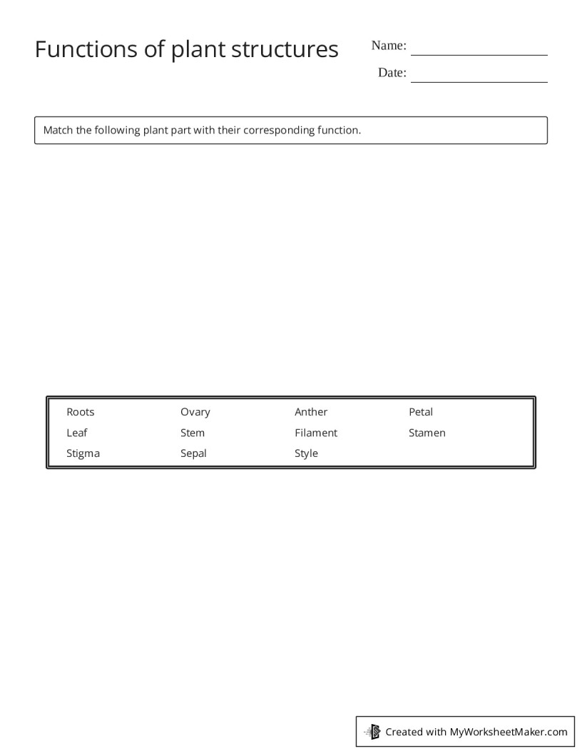 Functions of plant structures - My Worksheet Maker: Create Your Own ...