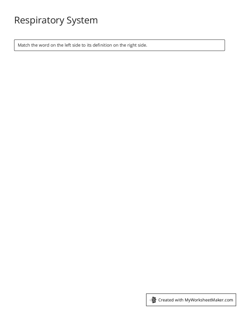 Respiratory System - My Worksheet Maker: Create Your Own Worksheets