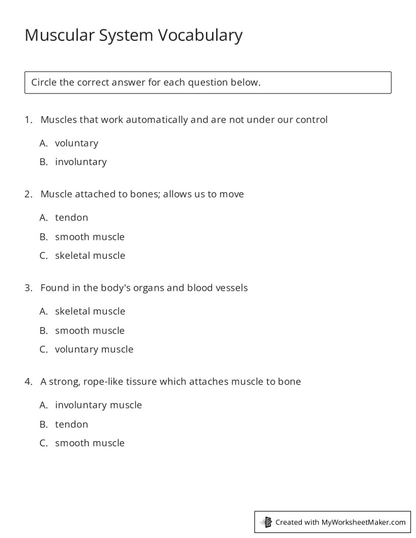 Muscular System Vocabulary - My Worksheet Maker: Create Your Own Worksheets