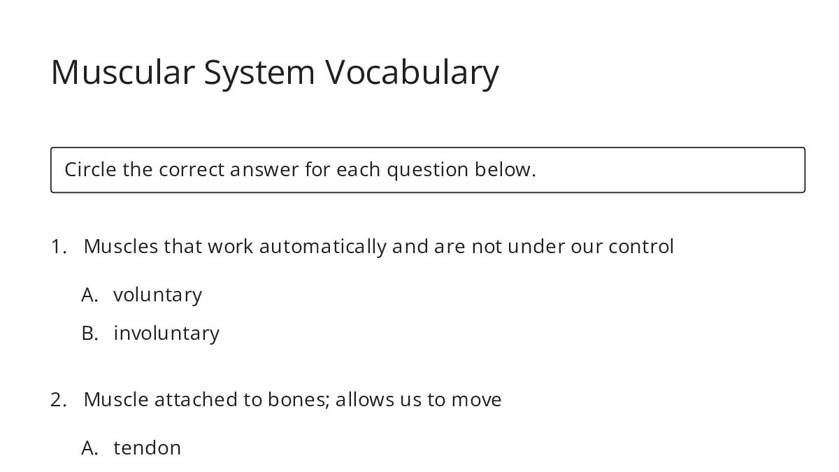 Muscular System Vocabulary - My Worksheet Maker: Create Your Own Worksheets