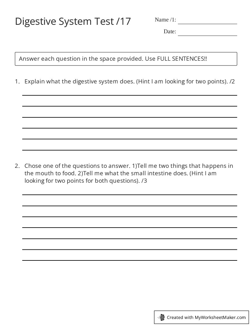 Digestive System Test /17 - My Worksheet Maker: Create Your Own Worksheets
