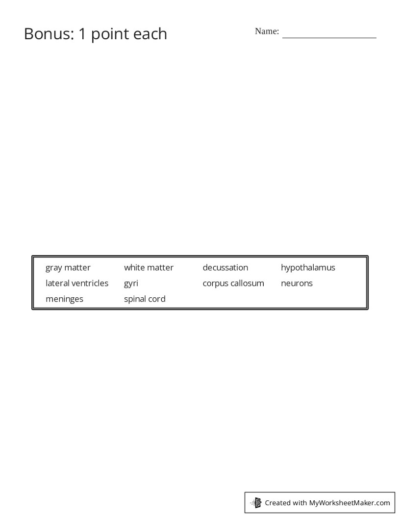 Bonus: 1 point each - My Worksheet Maker: Create Your Own Worksheets