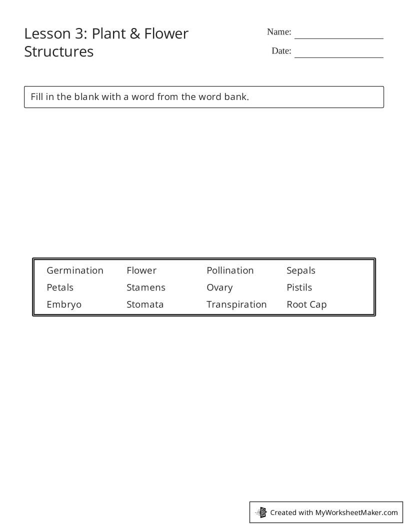 Lesson 3: Plant & Flower Structures - My Worksheet Maker: Create Your ...