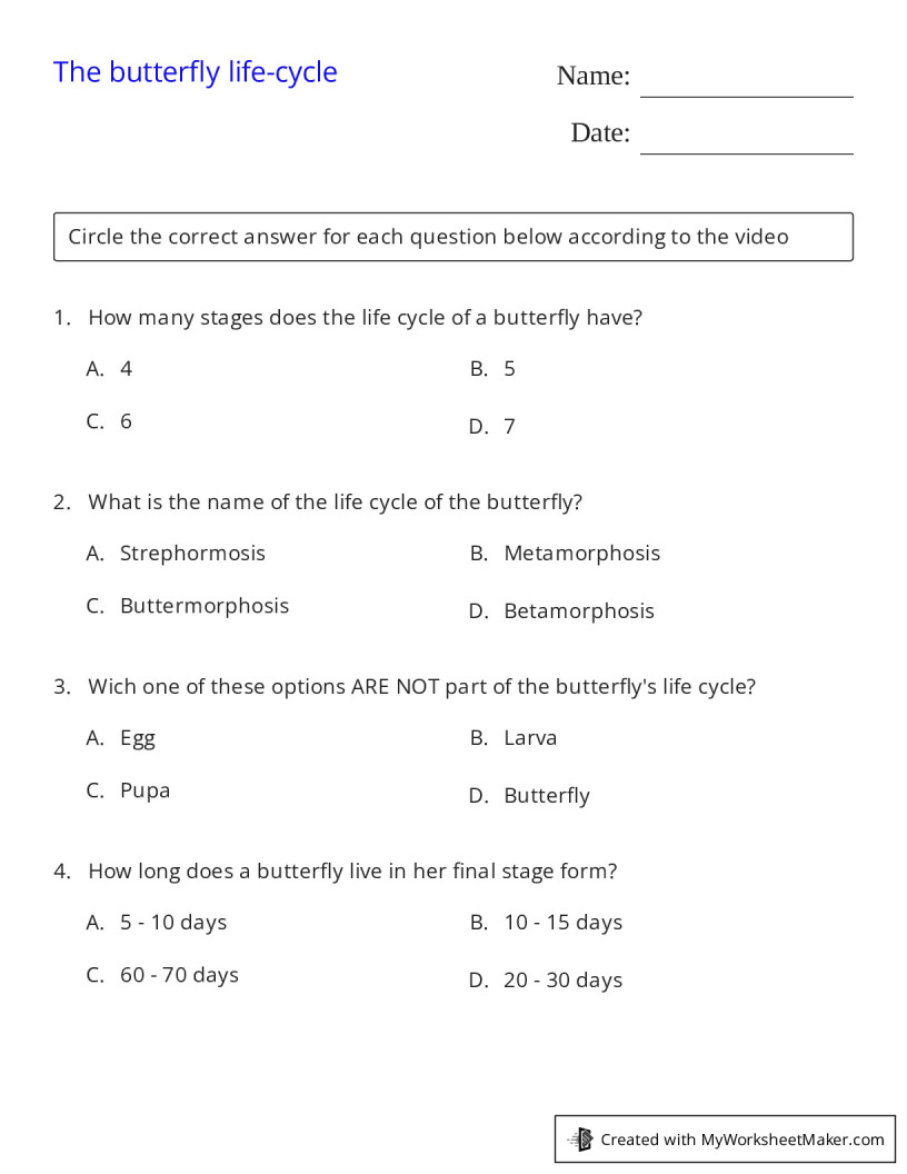 My Worksheet Maker: The Best Online Worksheet Creator
