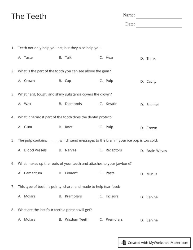 The Teeth - My Worksheet Maker: Create Your Own Worksheets