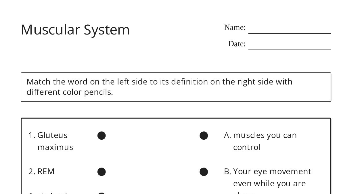 Muscular System - My Worksheet Maker: Create Your Own Worksheets