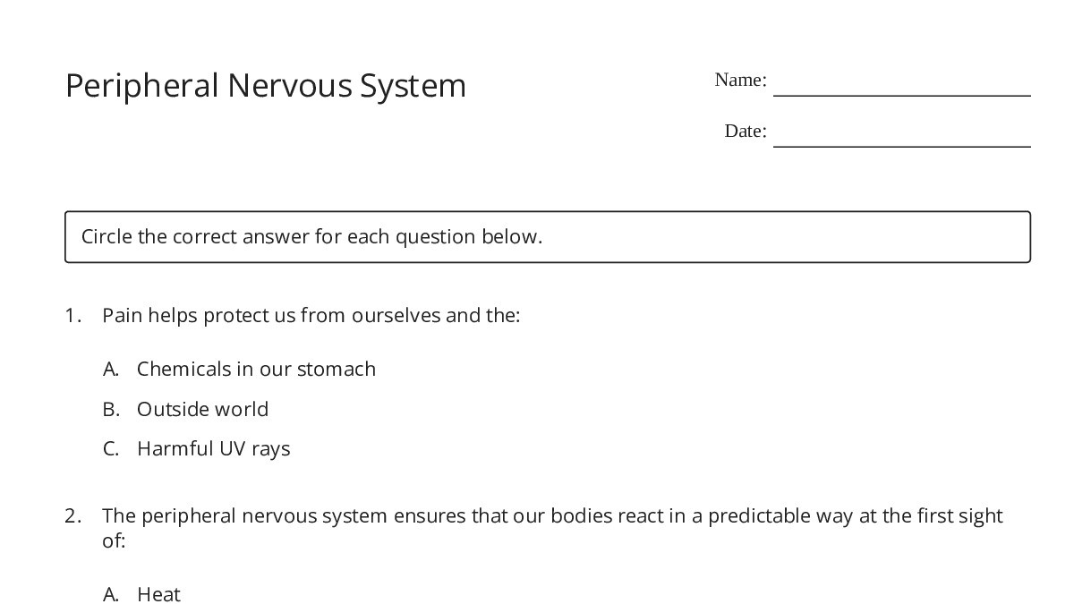 Peripheral Nervous System - My Worksheet Maker: Create Your Own Worksheets