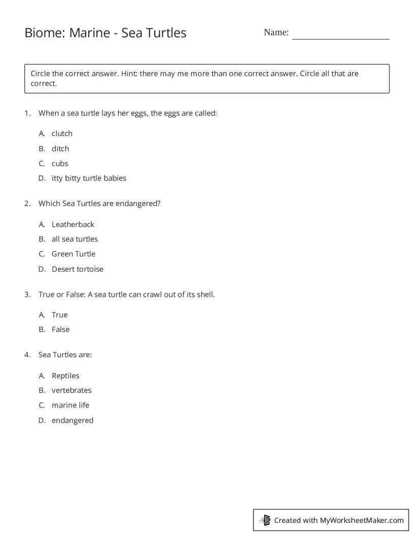 Biome: Marine - Sea Turtles - My Worksheet Maker: Create Your Own ...