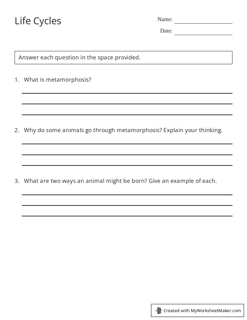 Life Cycles - My Worksheet Maker: Create Your Own Worksheets