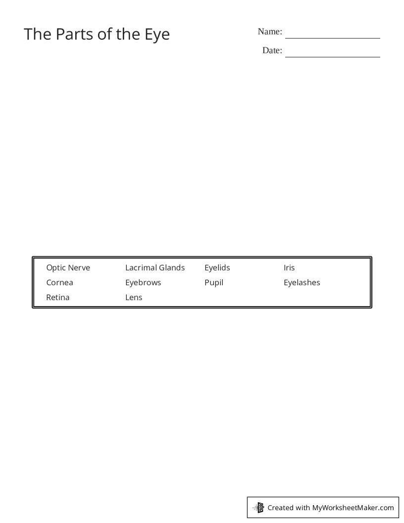 The Parts of the Eye - My Worksheet Maker: Create Your Own Worksheets