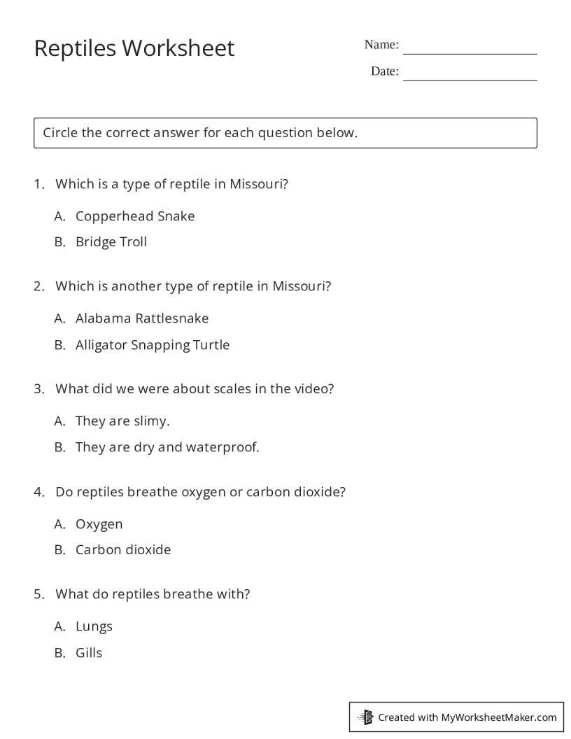 Reptiles Worksheet - My Worksheet Maker: Create Your Own Worksheets