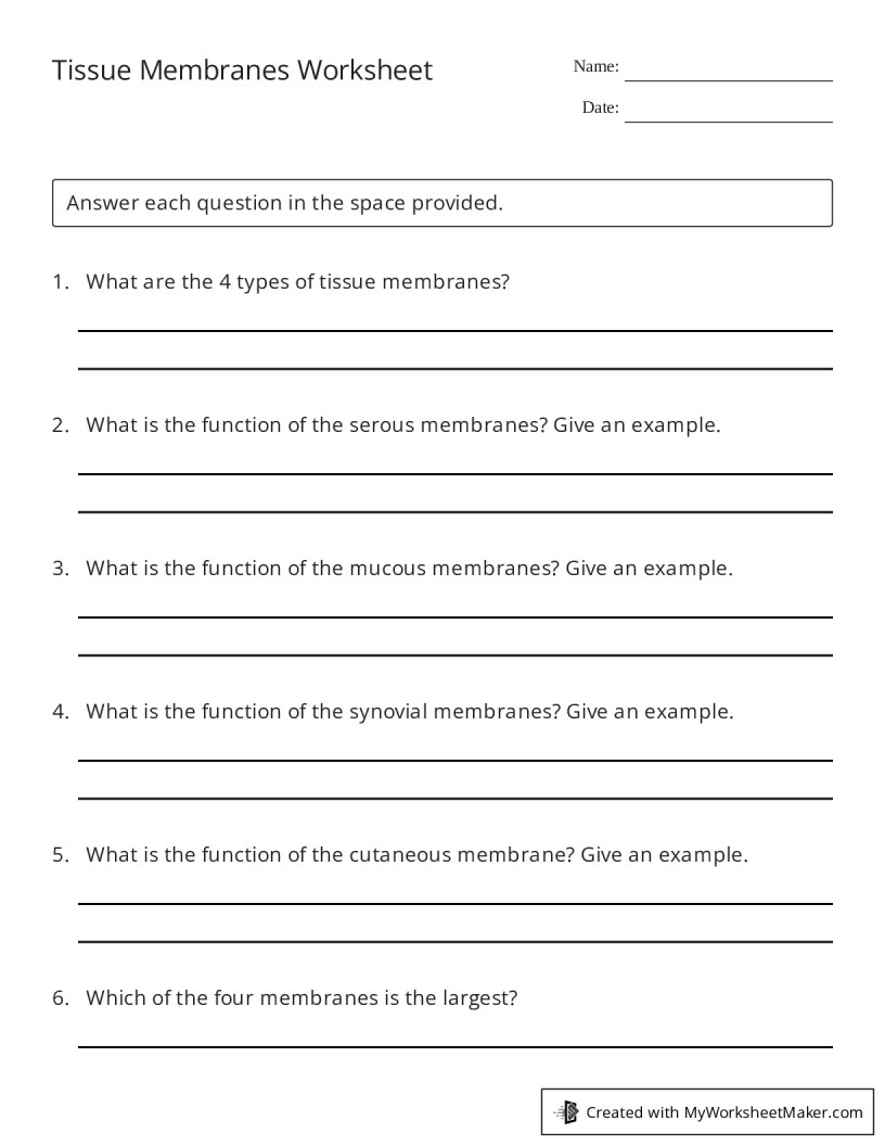 Tissue Membranes Worksheet - My Worksheet Maker: Create Your Own Worksheets