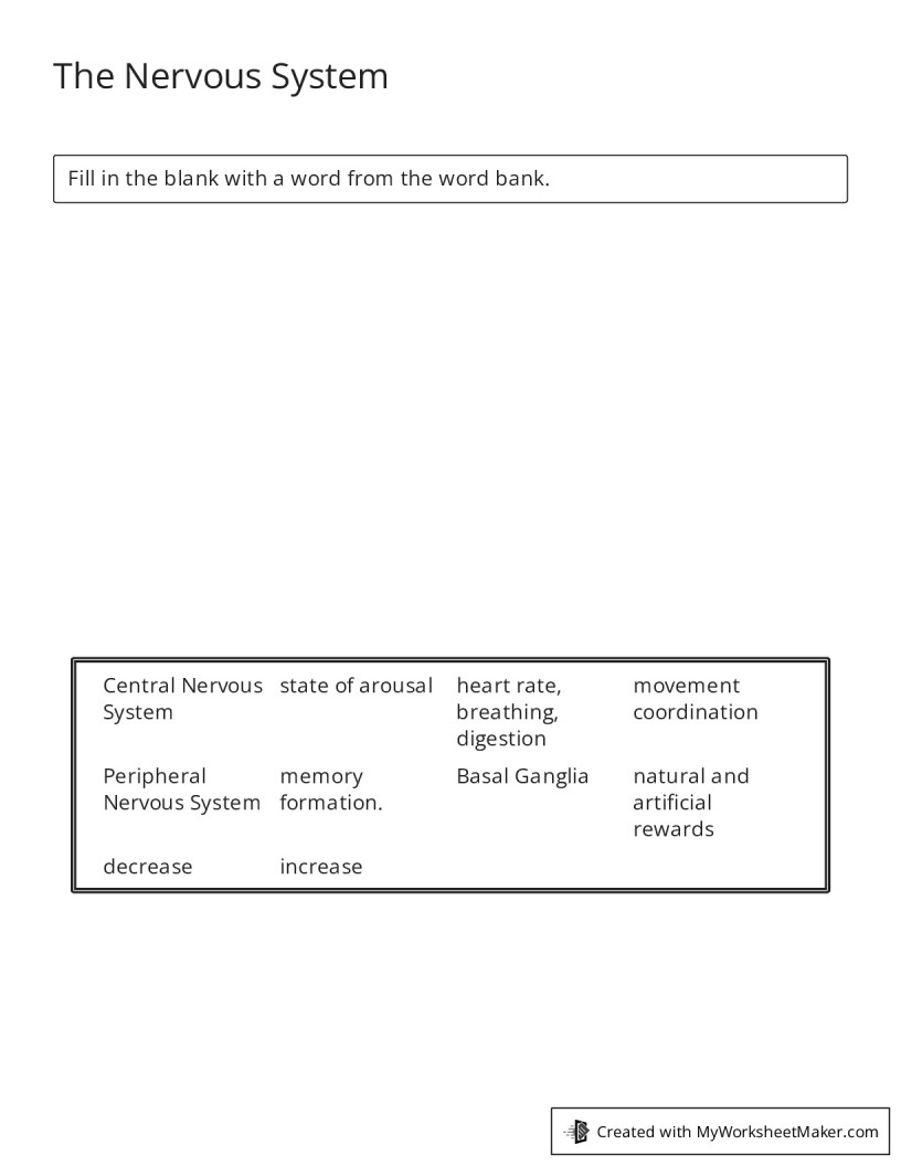 The Nervous System - My Worksheet Maker: Create Your Own Worksheets