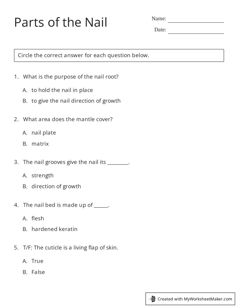 Parts of the Nail - My Worksheet Maker: Create Your Own Worksheets