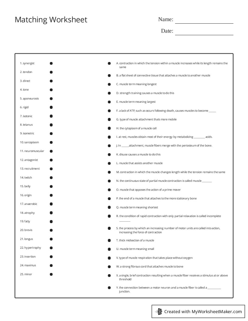 Matching Worksheet - My Worksheet Maker: Create Your Own Worksheets