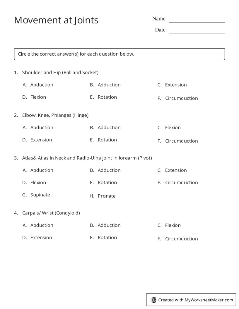Movement at Joints - My Worksheet Maker: Create Your Own Worksheets