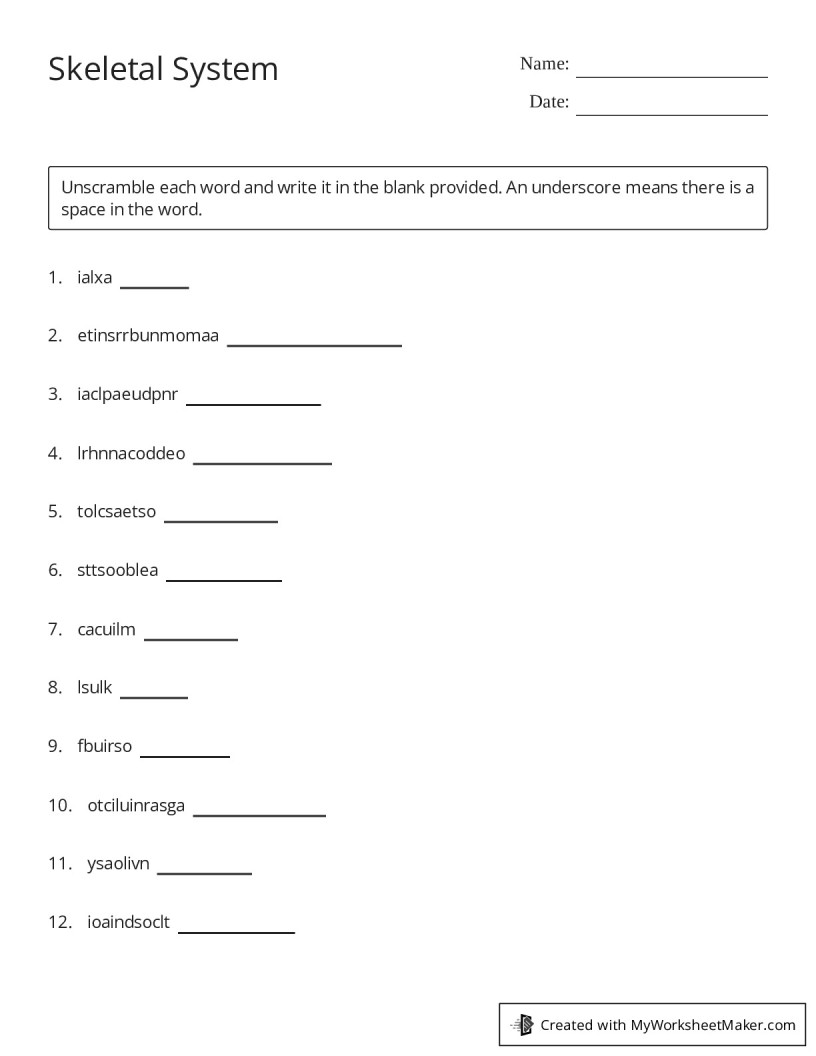 Skeletal System - My Worksheet Maker: Create Your Own Worksheets