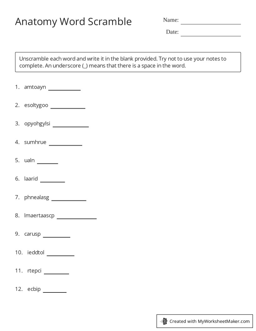 Anatomy Word Scramble - My Worksheet Maker: Create Your Own Worksheets